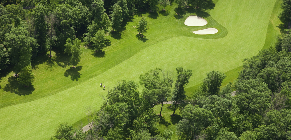 Happy Arbor Day! - Golf Blog, Golf Articles | GolfNow